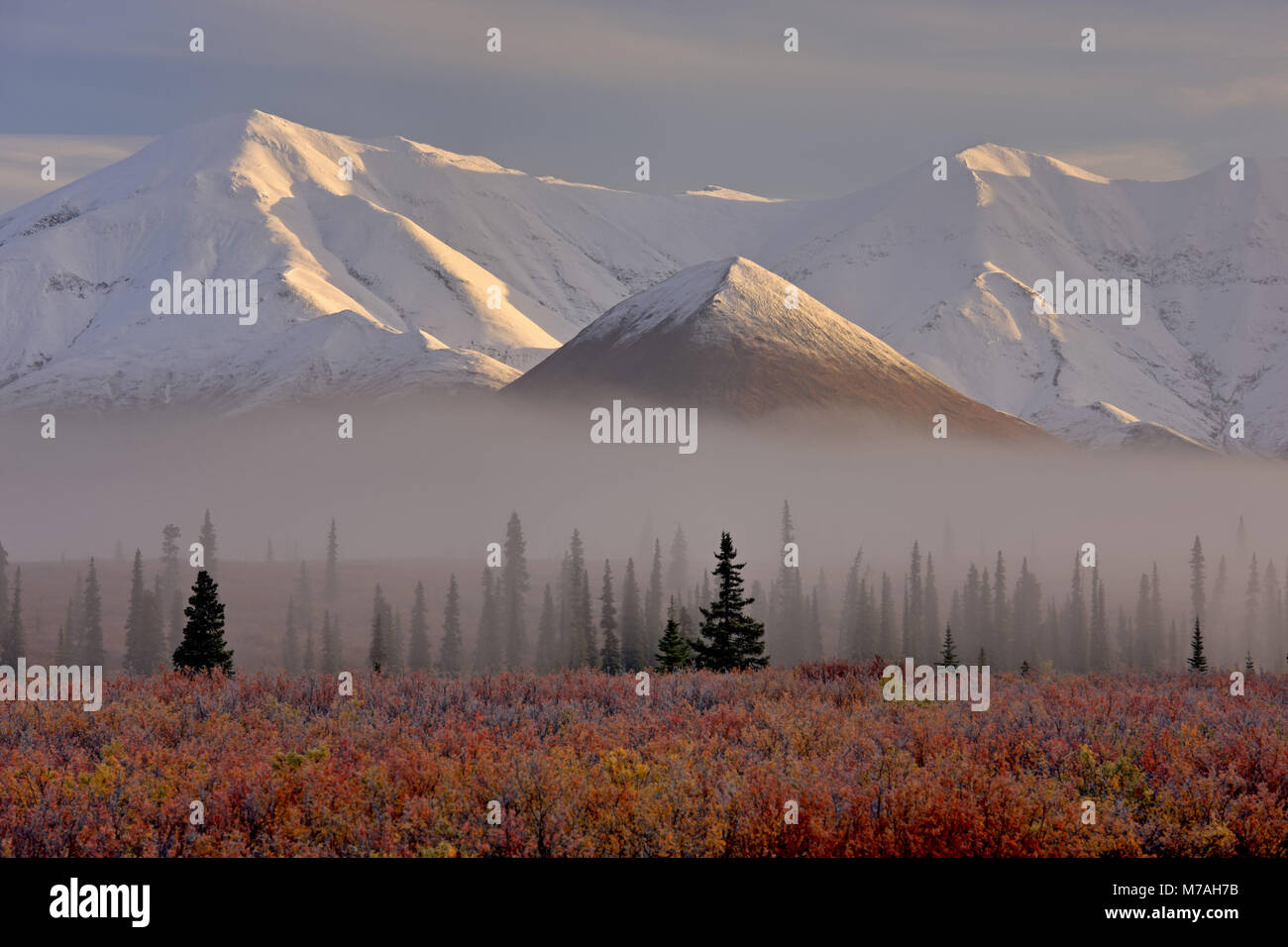 North America, the USA, Alaska, Denali National Park, Alaska Range ...