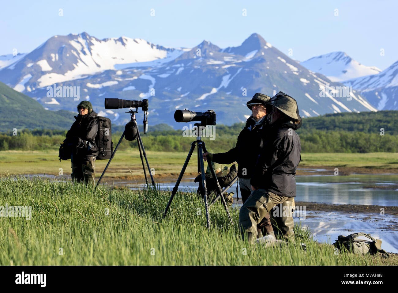 North America, the USA, Alaska, Katmai National Park, Hallo Bay ...