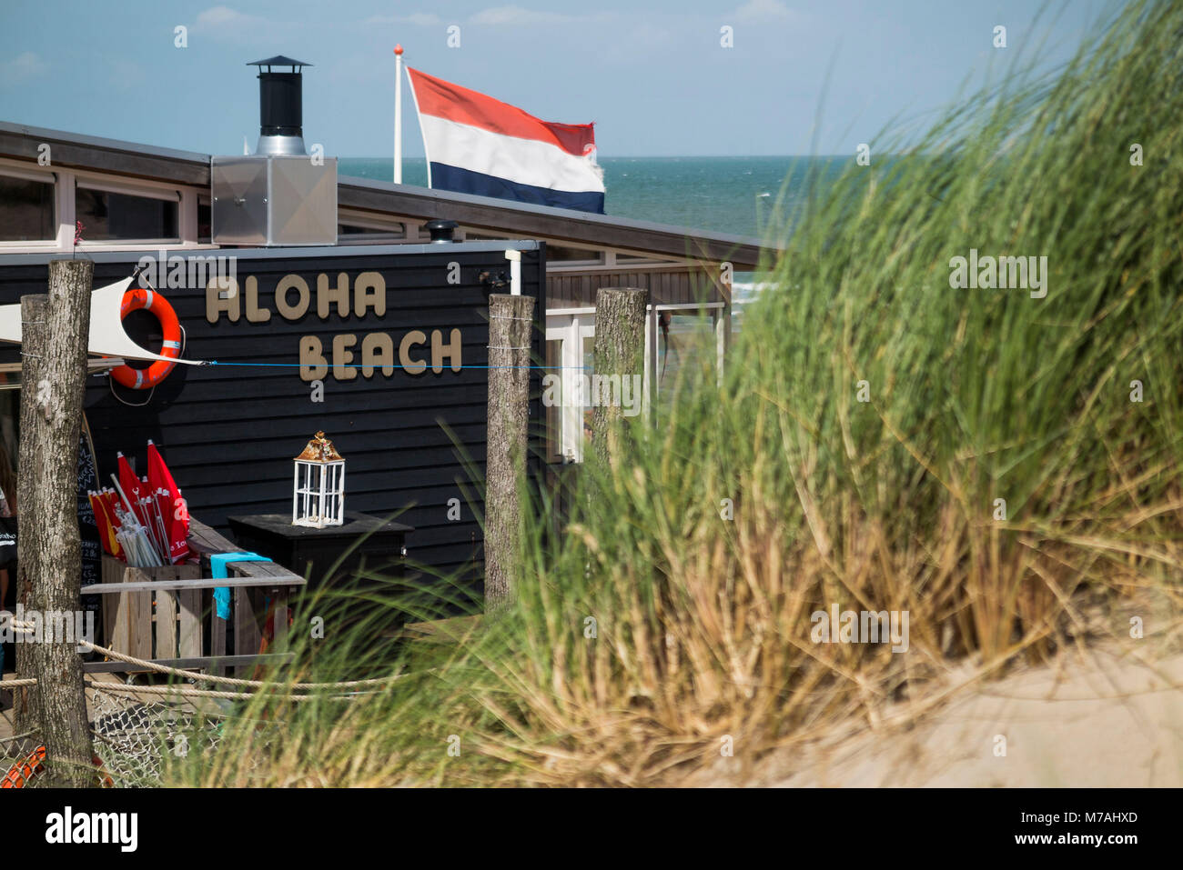 beach bar close Oranjezon on Zeeland / the Netherlands Stock Photo - Alamy