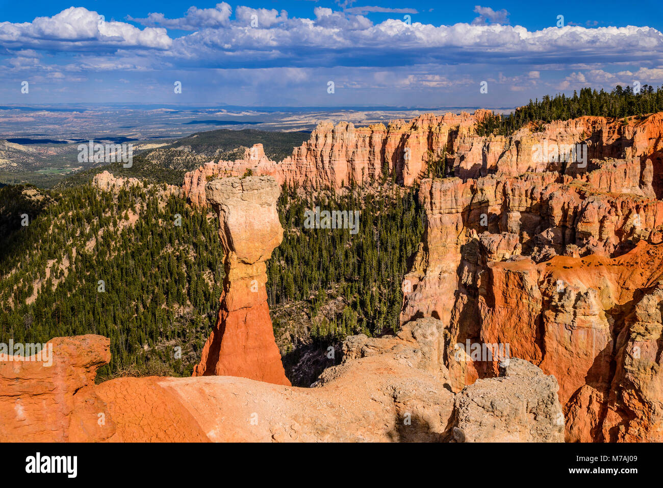 The USA, Utah, Garfield County, Bryce Canyon National Park, Agua canyon ...