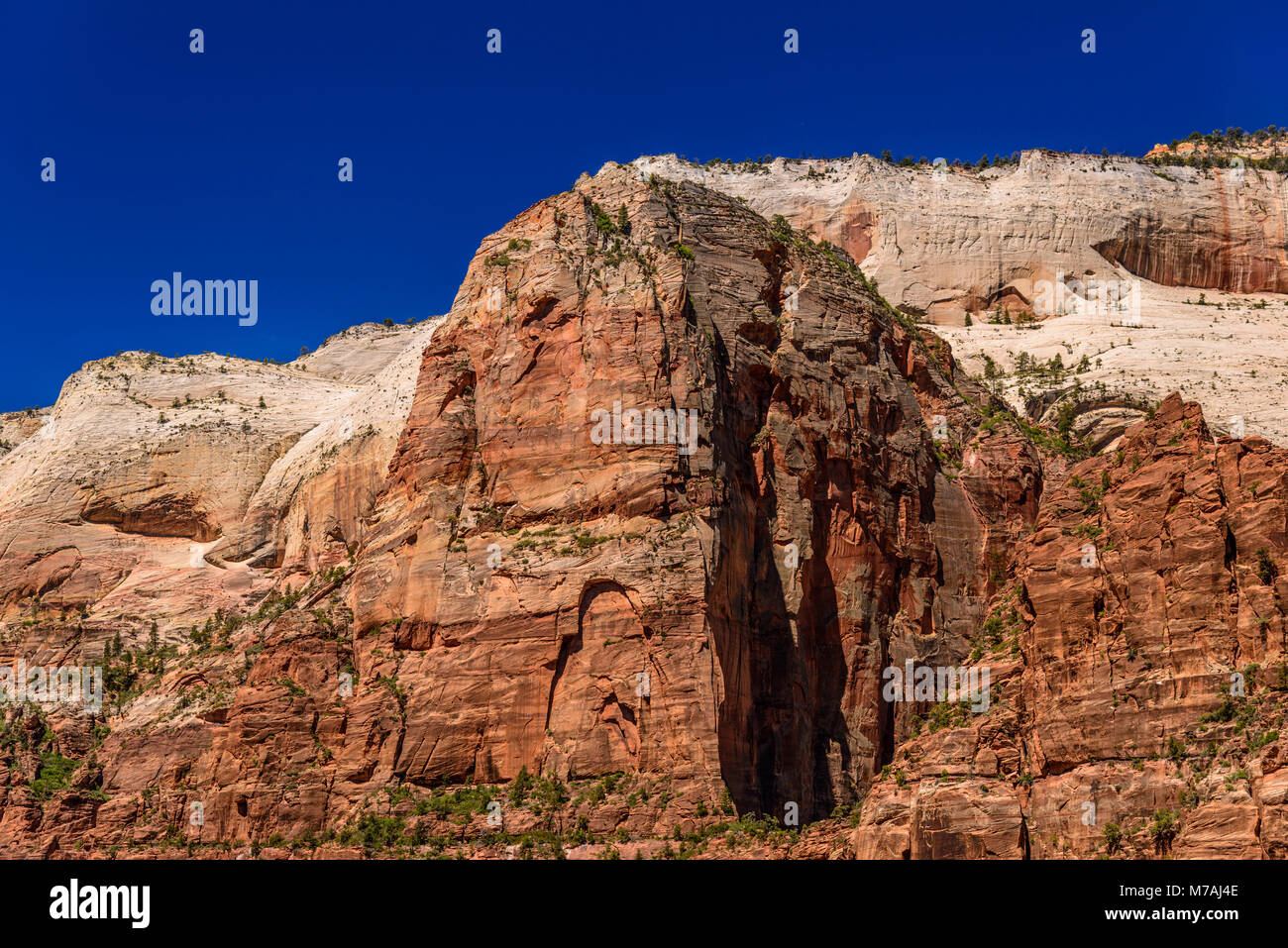 The USA, Utah, Washington county, Springdale, Zion National Park, Zion ...