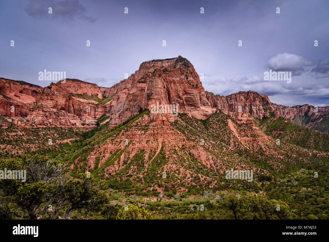 The USA, Utah, Washington county, Springdale, Zion National Park, Kolob ...