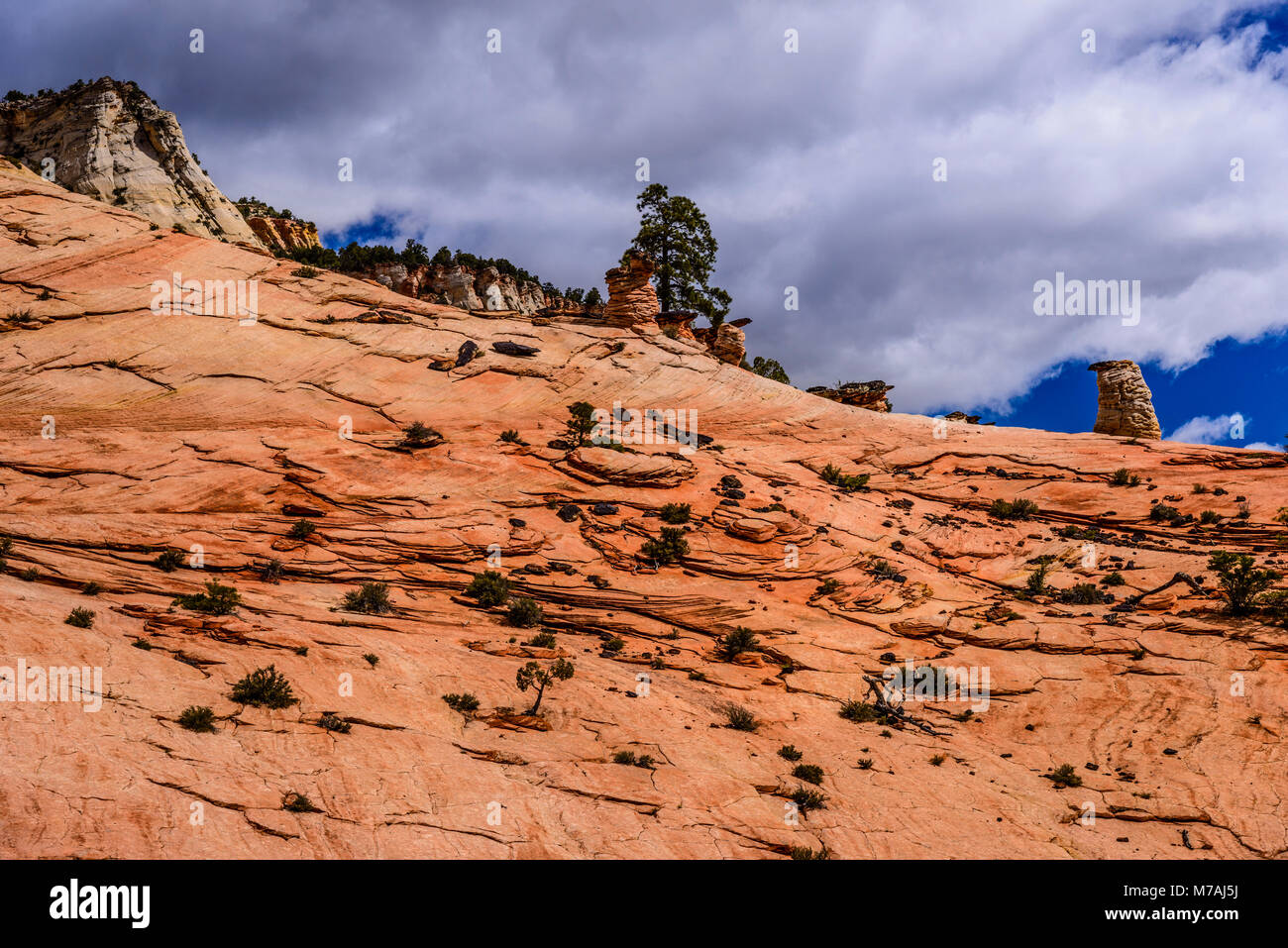 The USA, Utah, Washington county, Springdale, Zion National Park, part ...