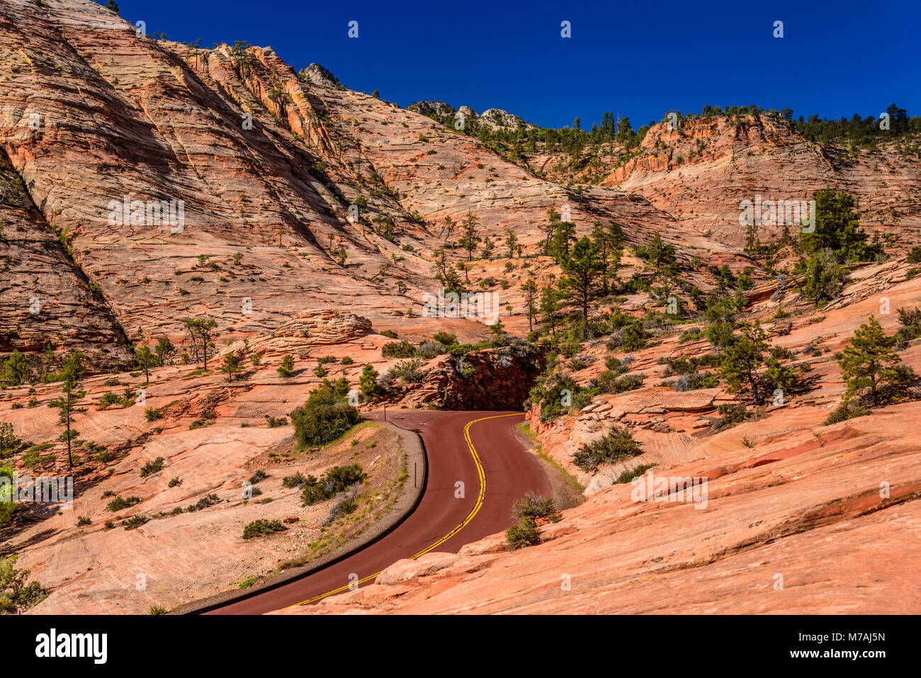 The USA, Utah, Washington county, Springdale, Zion National Park, part ...