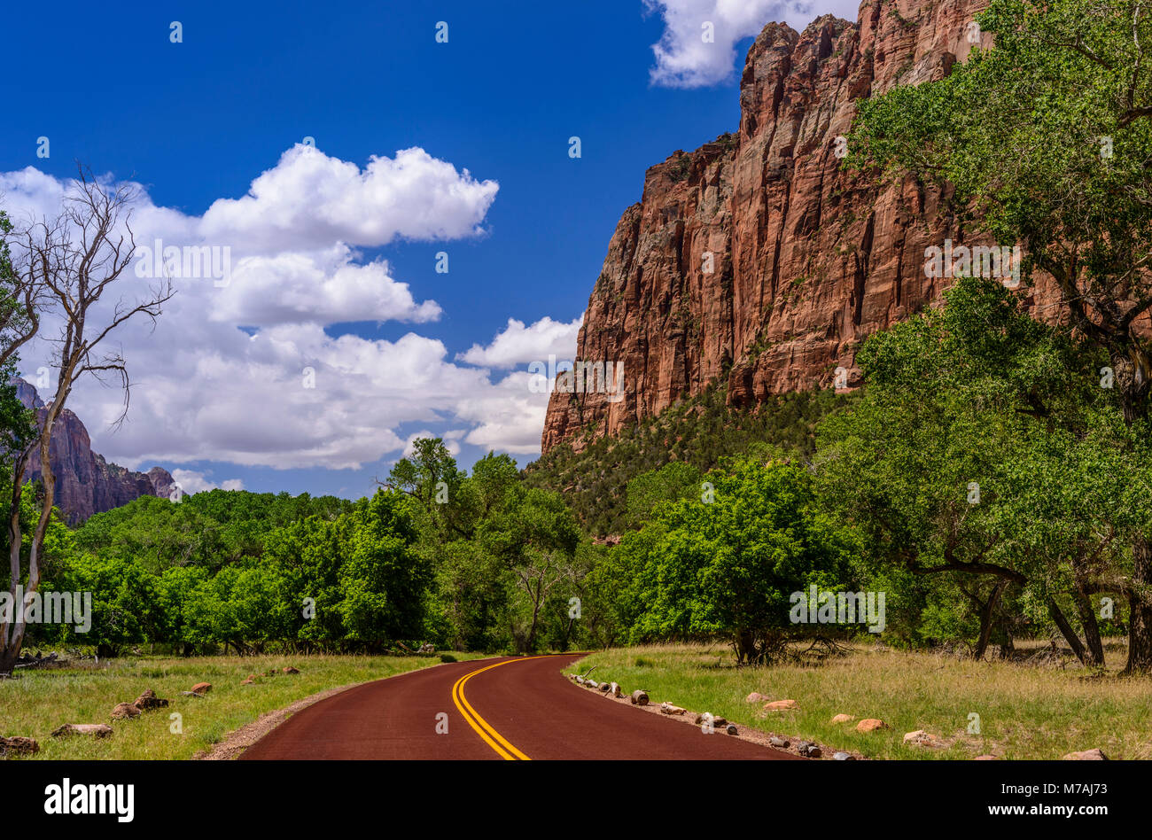 The USA, Utah, Washington county, Springdale, Zion National Park, Zion ...