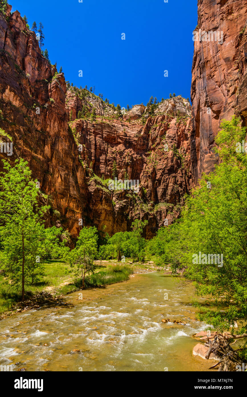 The USA, Utah, Washington county, Springdale, Zion National Park, Zion ...