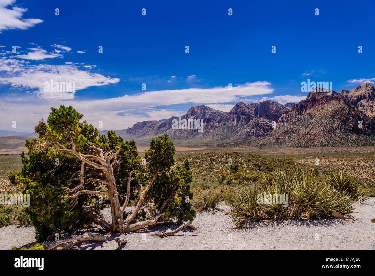 Nevada lookout point hi-res stock photography and images - Alamy