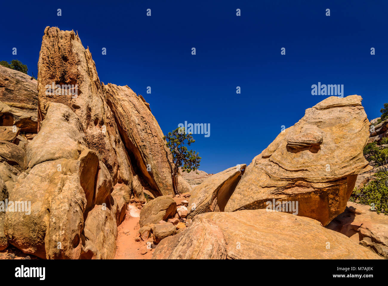 Torrey canyon hi-res stock photography and images - Alamy