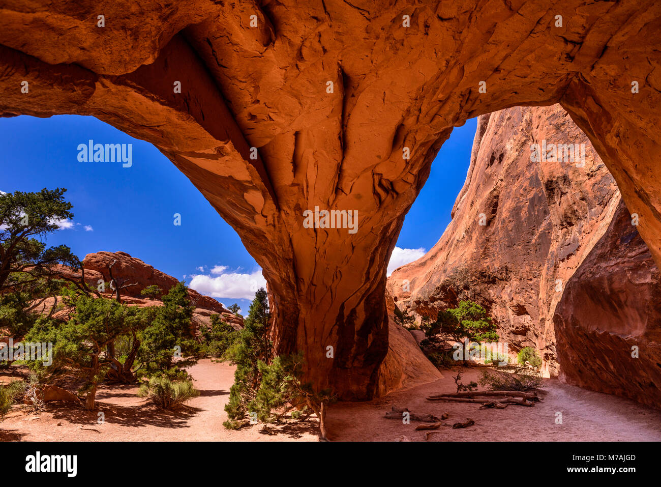 The USA, Utah, Grand county, Moab, Arches National Park, Devils Garden ...