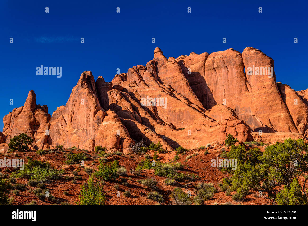Rib arches hi-res stock photography and images - Alamy