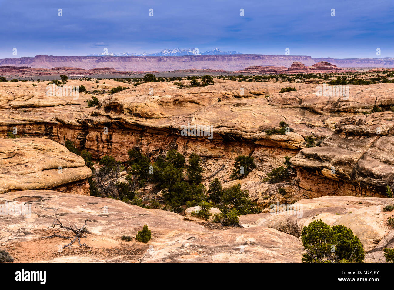 The USA, Utah, San Juan county, Moab, Canyonlands National Park, The ...