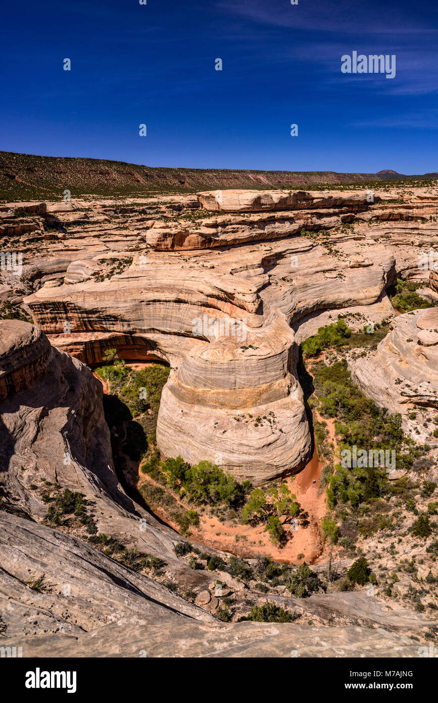 The USA, Utah, San Juan county, Blanding, Natural Bridges National ...