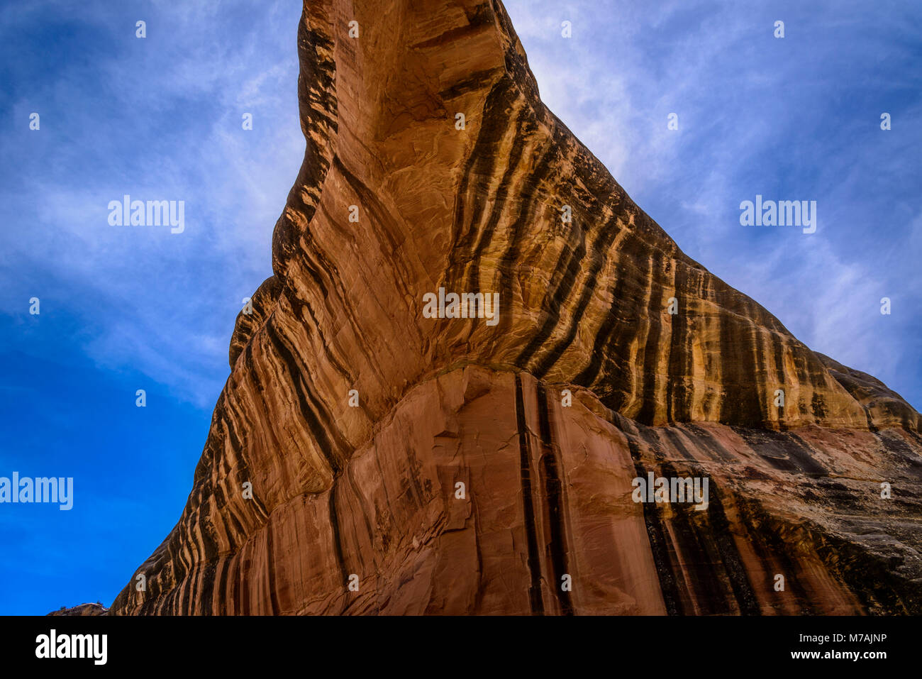 The USA, Utah, San Juan county, Blanding, Natural Bridges National ...