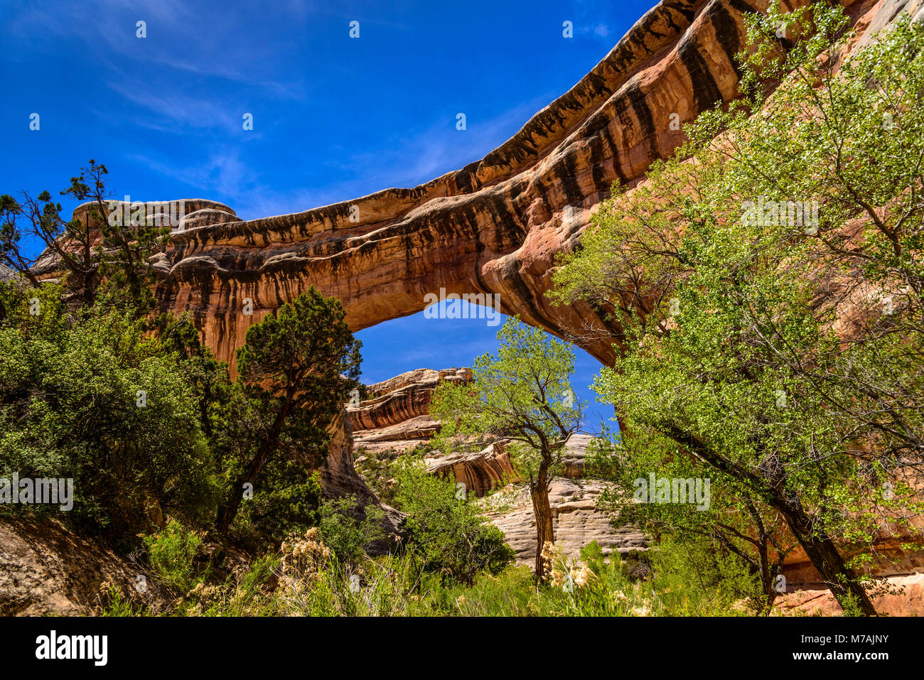 The USA, Utah, San Juan county, Blanding, Natural Bridges National ...