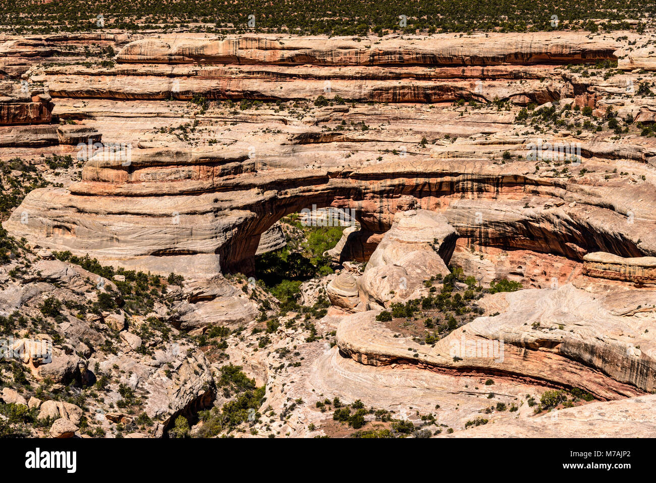 The USA, Utah, San Juan county, Blanding, Natural Bridges National ...