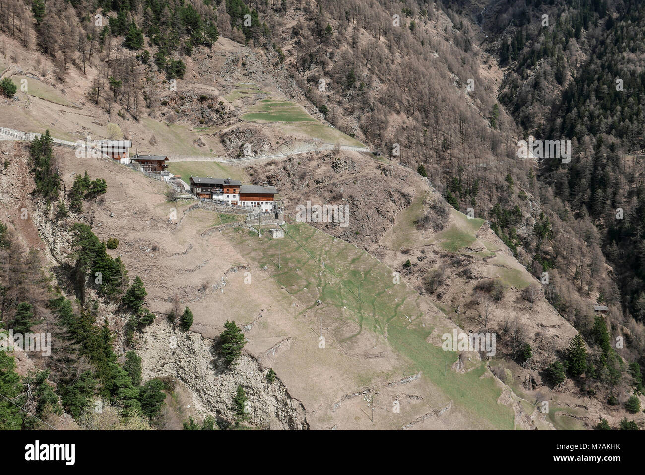 Farms on the steep hill, Egg Höfe in the Vinschgau, St. Martin im Kofel ...
