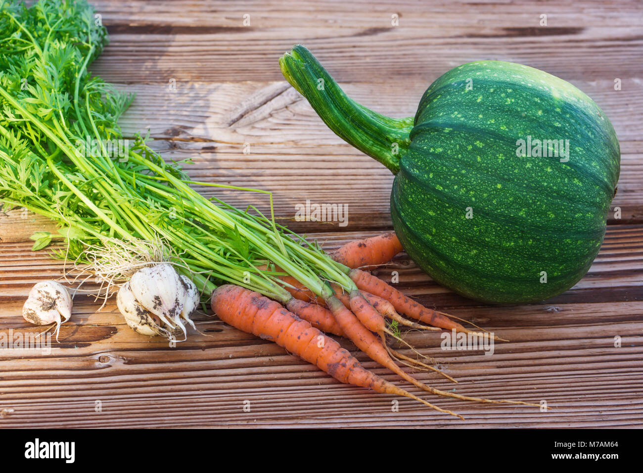 Vegetable harvest in a garden Stock Photo - Alamy