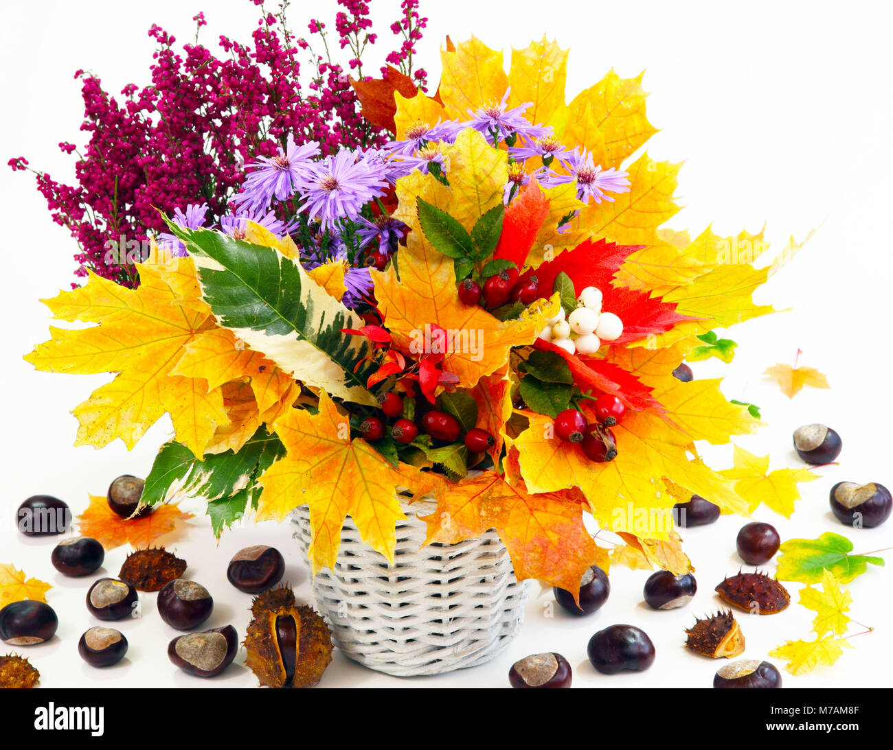 Many colours hi-res stock photography and images - Alamy