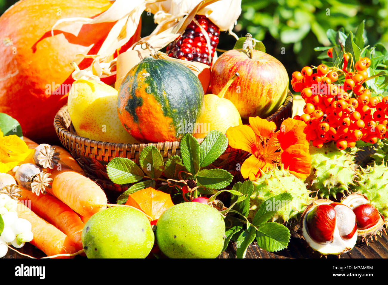 Pumpkin seed apples fruit hi-res stock photography and images - Alamy