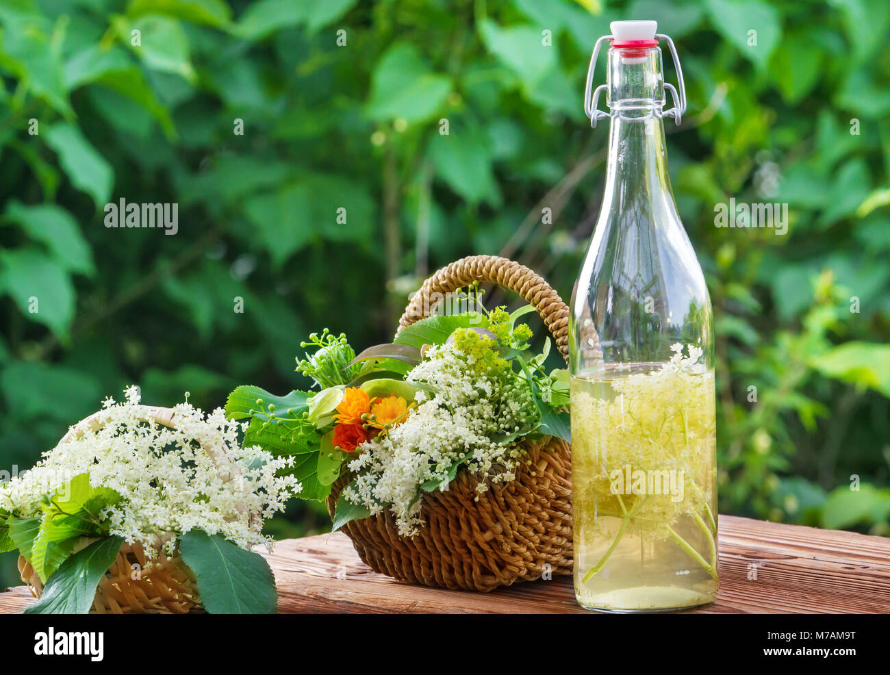 Mild medicine, elder flowers Stock Photo - Alamy