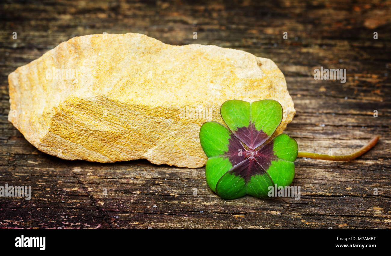 Four leafed clover and lucky stone on wood hi-res stock photography and ...