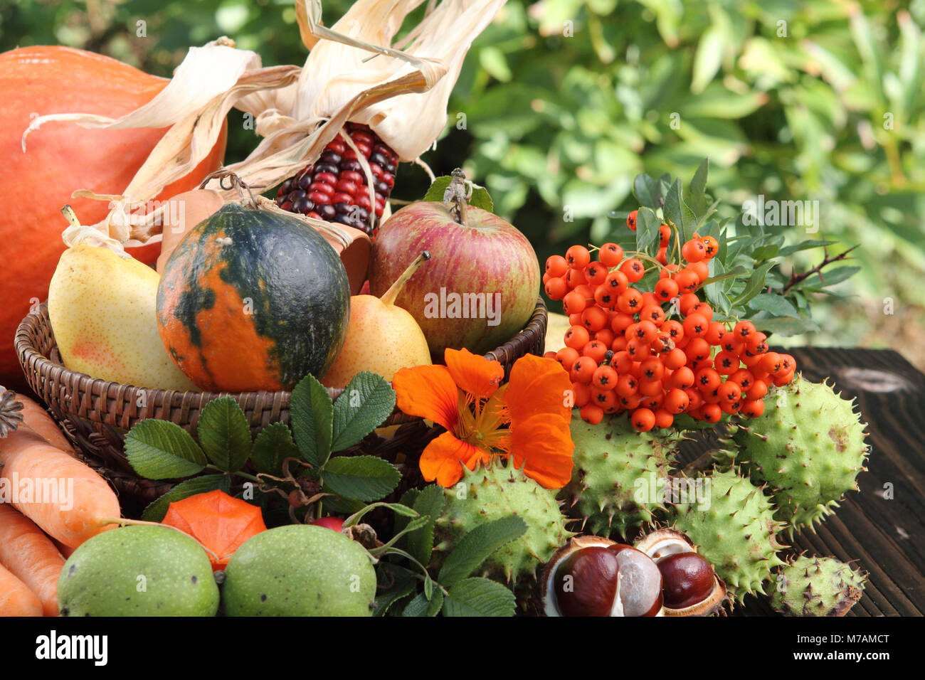 Fruits in autumn Stock Photo - Alamy