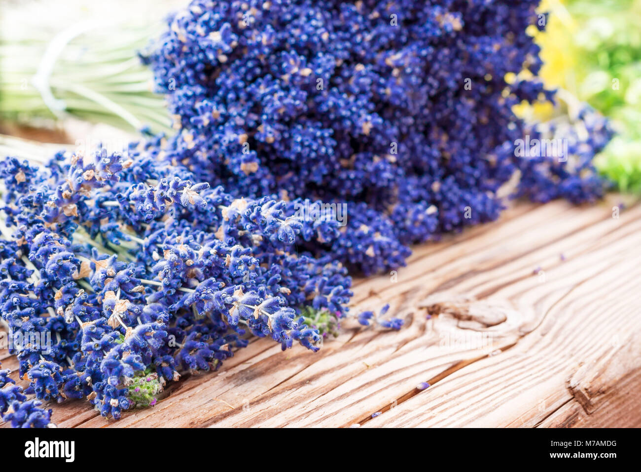 Theme lavender hi-res stock photography and images - Alamy