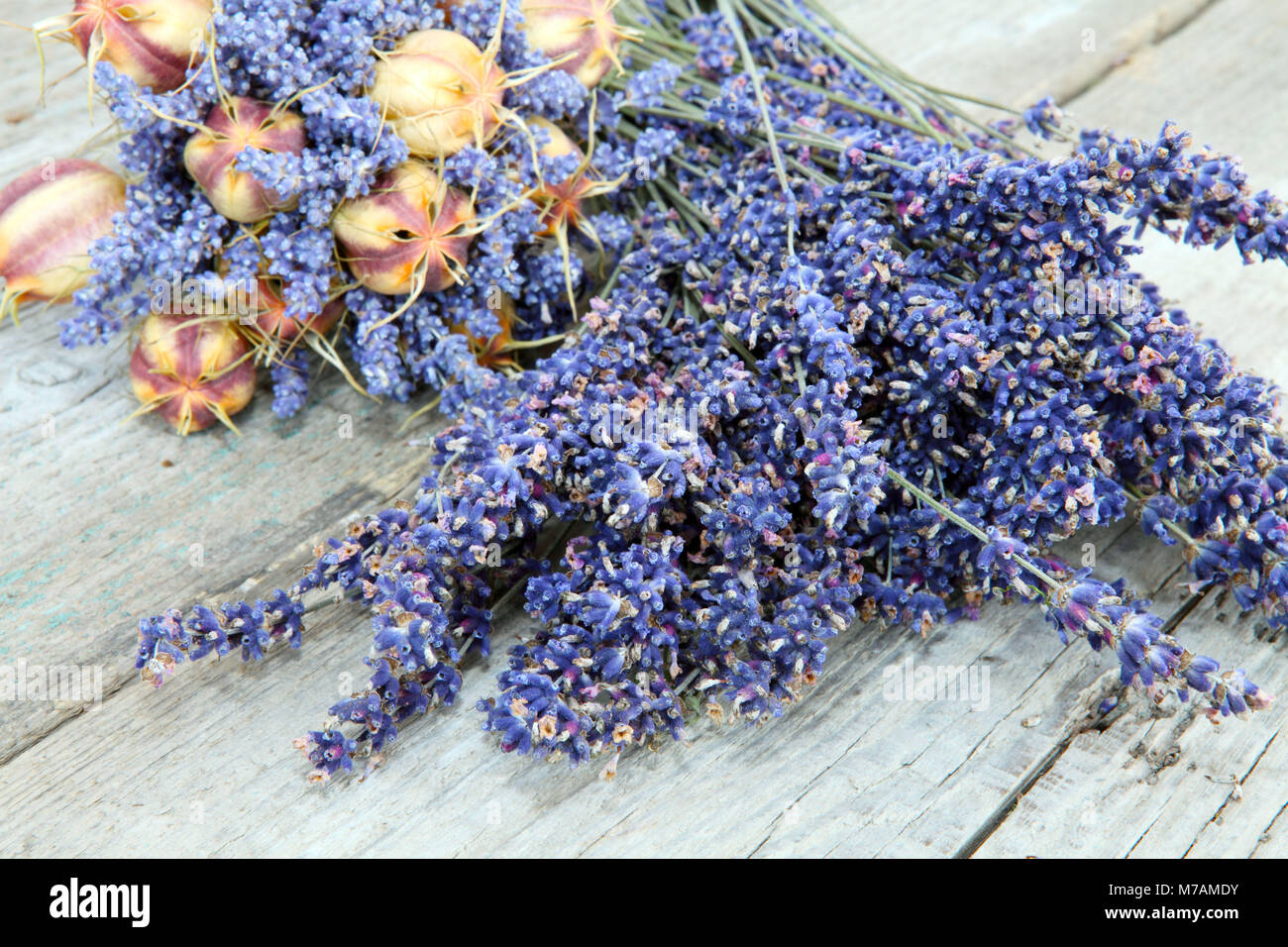 Lavender mist hi-res stock photography and images - Alamy