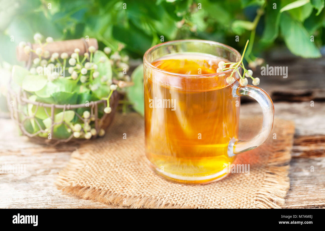 Lime Tree Tea High Resolution Stock Photography and Images - Alamy