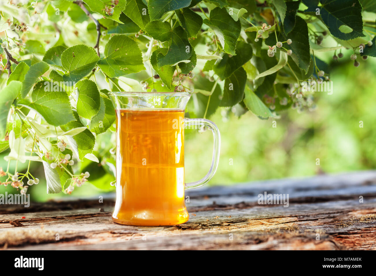 Blossom tea hi-res stock photography and images - Alamy