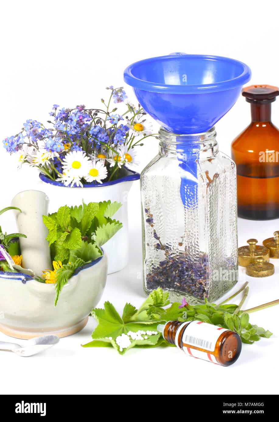 Medicinal plants, homoeopathy Stock Photo - Alamy