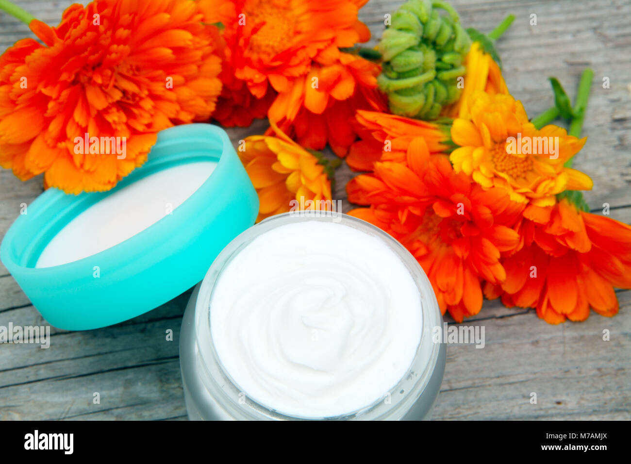 Marigold cream hi-res stock photography and images - Alamy