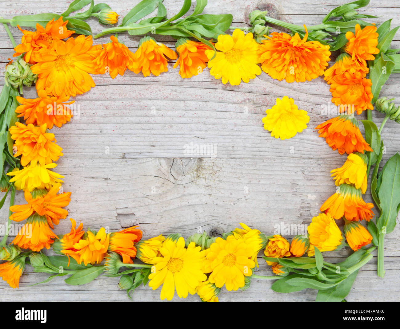Marigold Product High Resolution Stock Photography and Images - Alamy