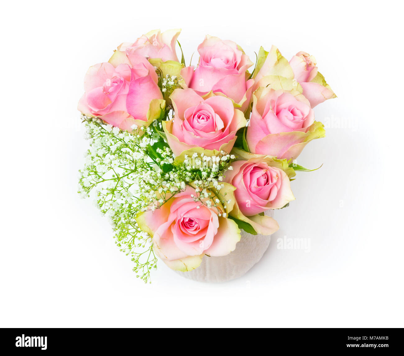 Pink gypsophila Cut Out Stock Images & Pictures - Alamy
