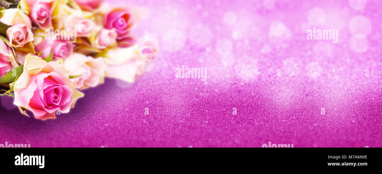 Pink Roses, Bokeh Stock Photo - Alamy