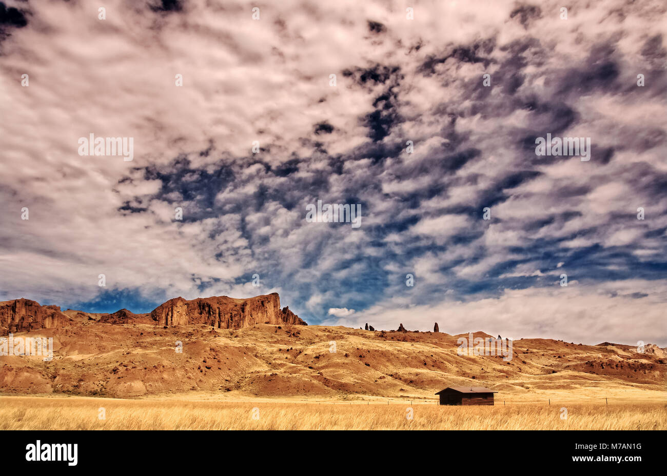 Prairie grassland hi-res stock photography and images - Alamy