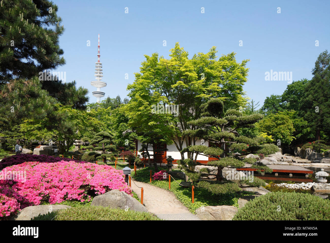 Germany, Hamburg, Japanese garden, teahouse and television tower Stock ...