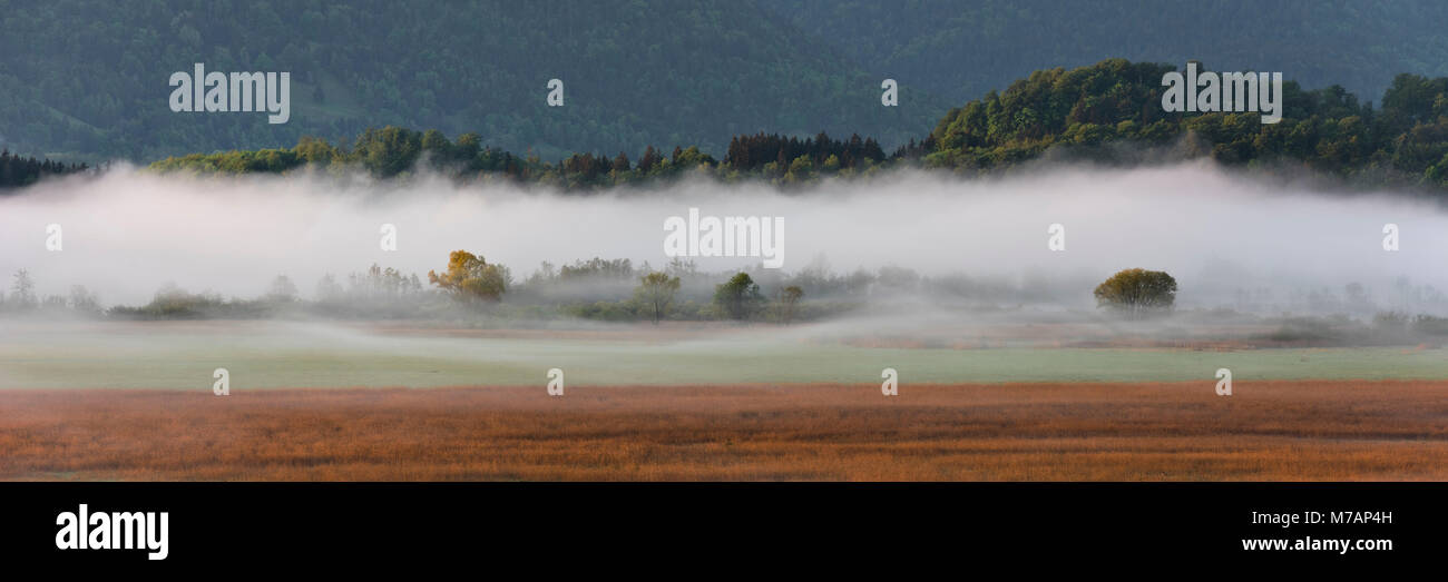 Murnau moor (Murnauer Moos), Bavaria, Germany Stock Photo - Alamy