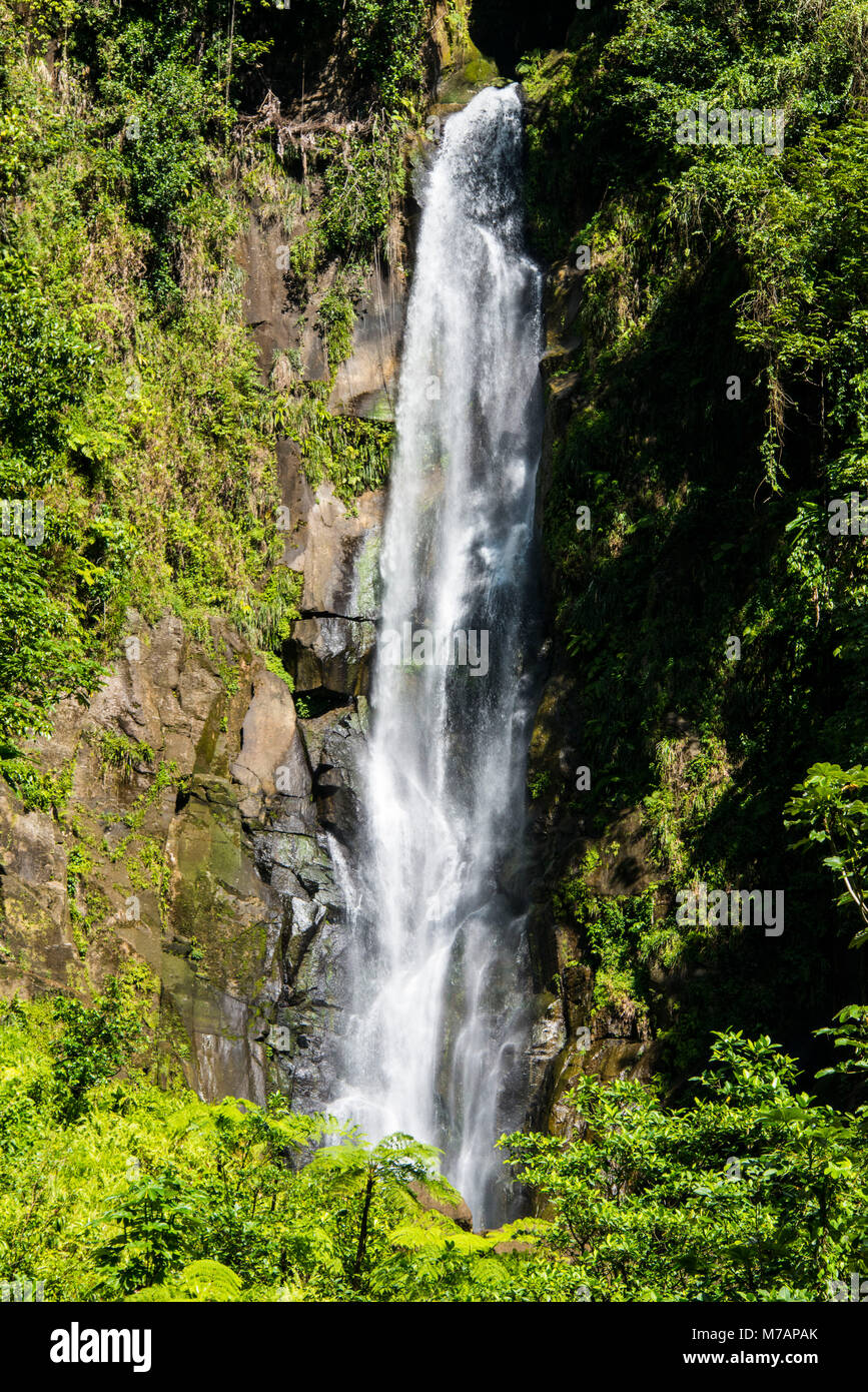 Trafalgar Fall in the Unesco world heritage sight Morne Trois Pitons ...