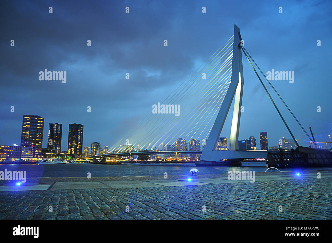 Erasmusbrug in Rotterdam Stock Photo - Alamy