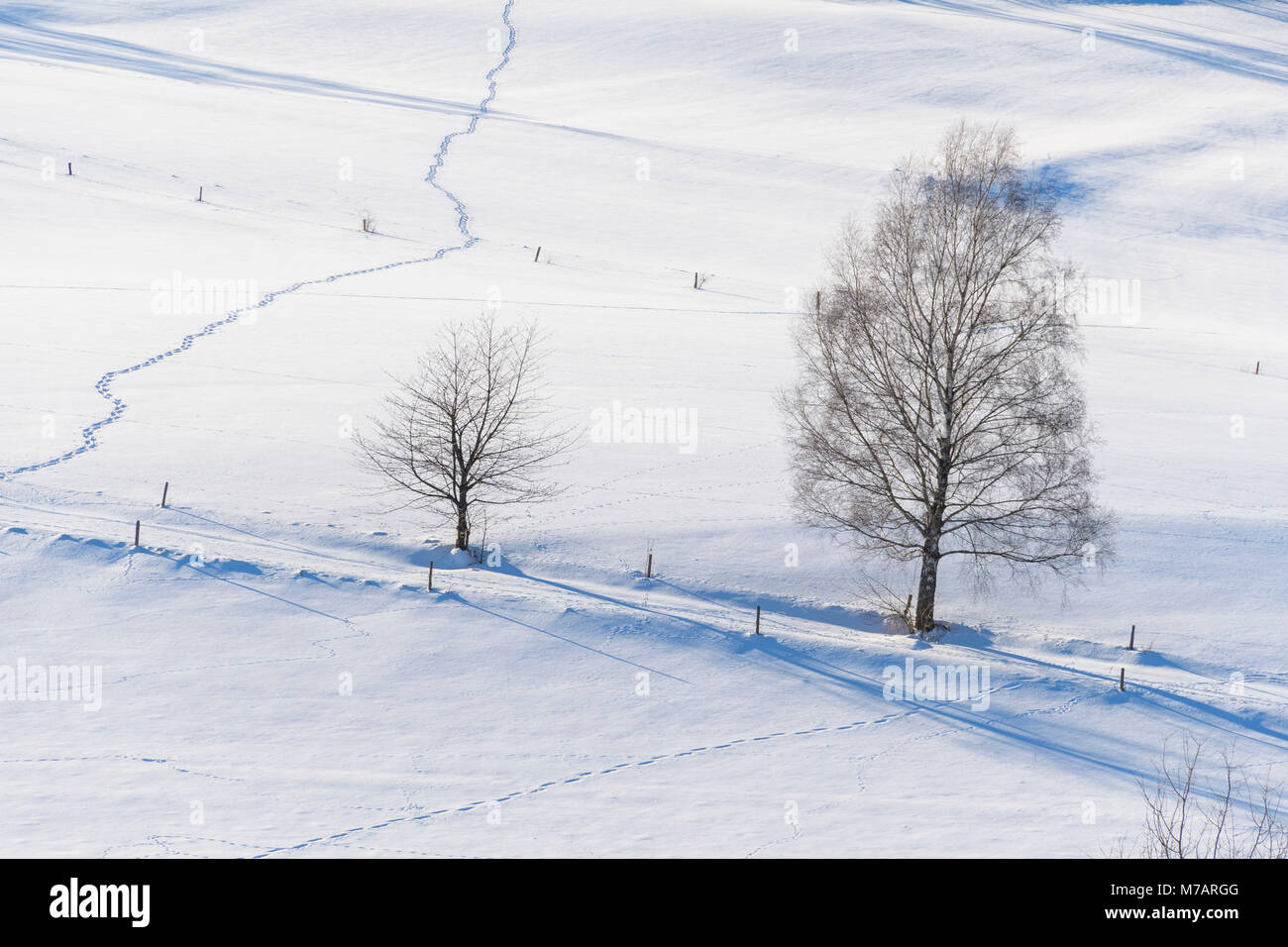 Gersfeld Stock Photos & Gersfeld Stock Images - Alamy