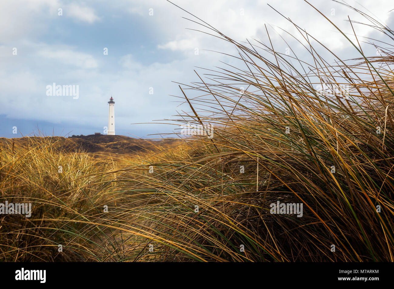 Lyngvig Fyr in the dunes Stock Photo - Alamy
