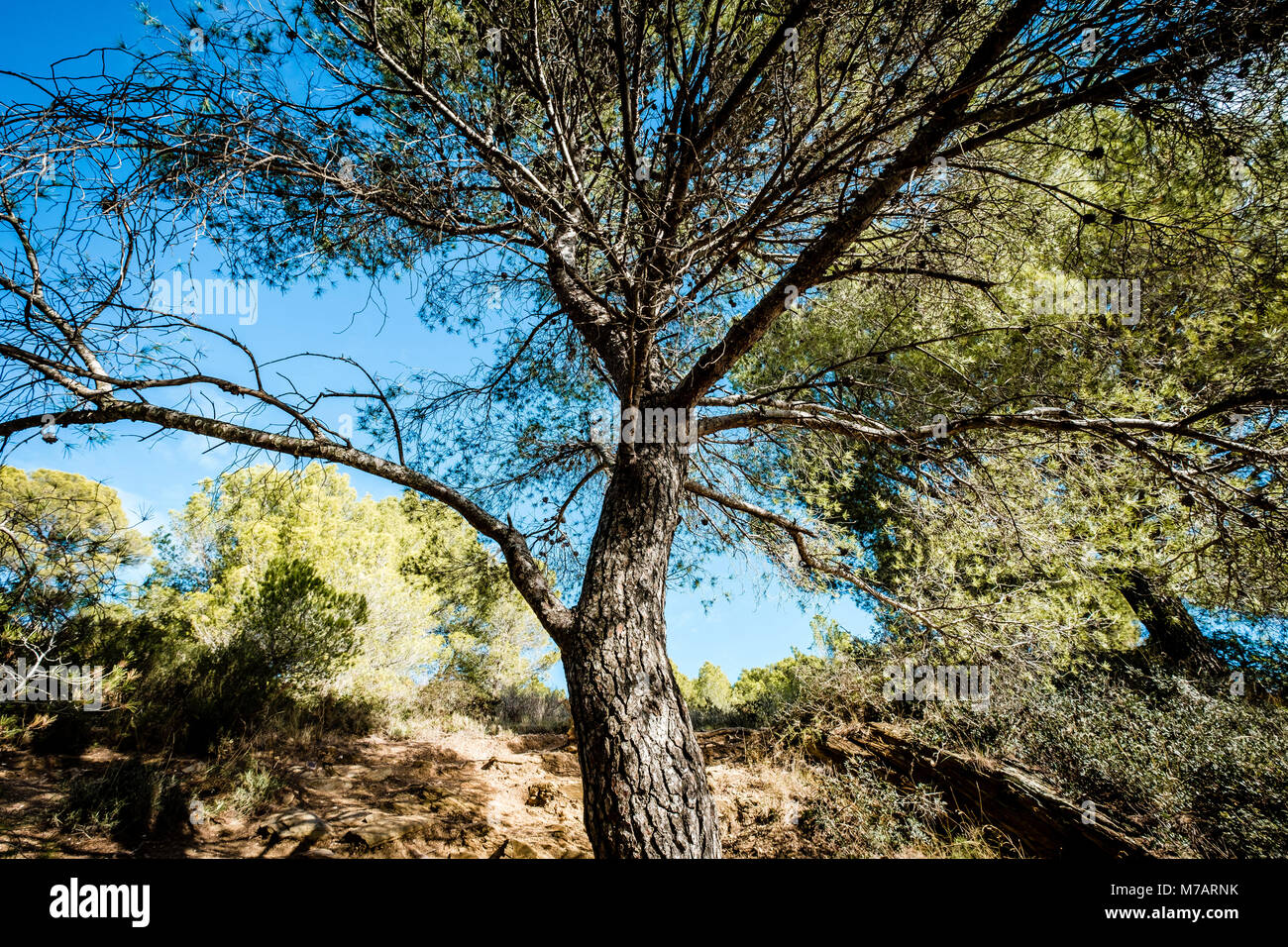 Cala murtra hi-res stock photography and images - Alamy