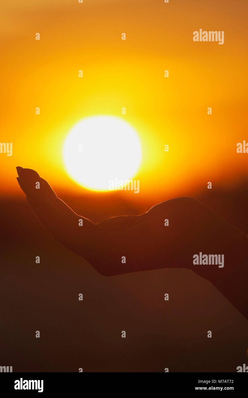Person cupping hand under sun Stock Photo - Alamy
