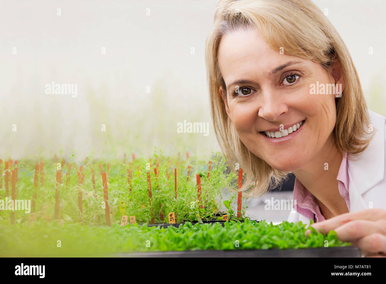 Female scientist smiling near plants in a laboratory Stock Photo - Alamy