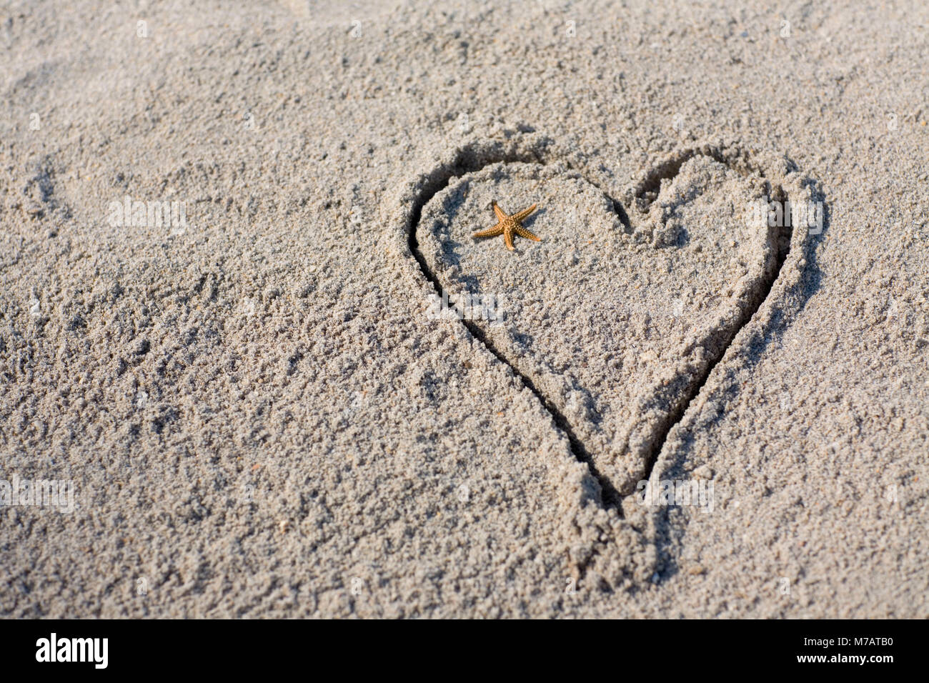High angle view of a starfish in a heart drawn in sand Stock Photo - Alamy