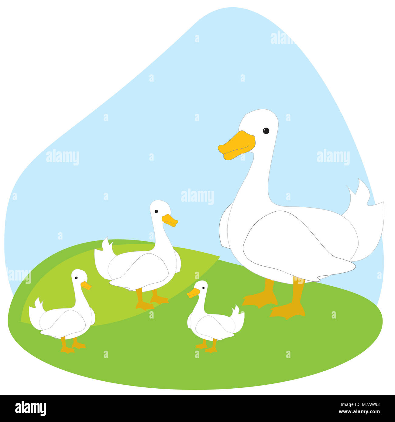 Mother duck with her ducklings Stock Photo - Alamy