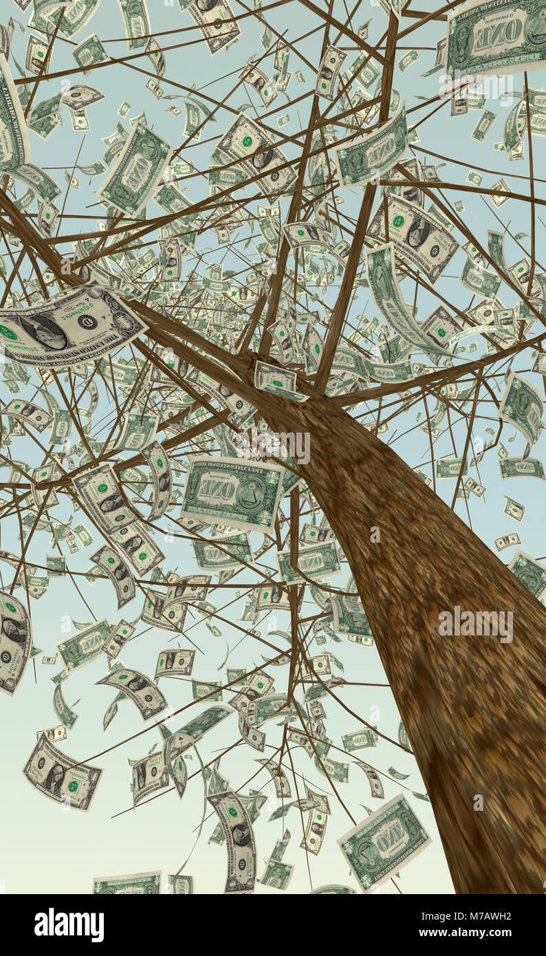 Money tree hi-res stock photography and images - Alamy