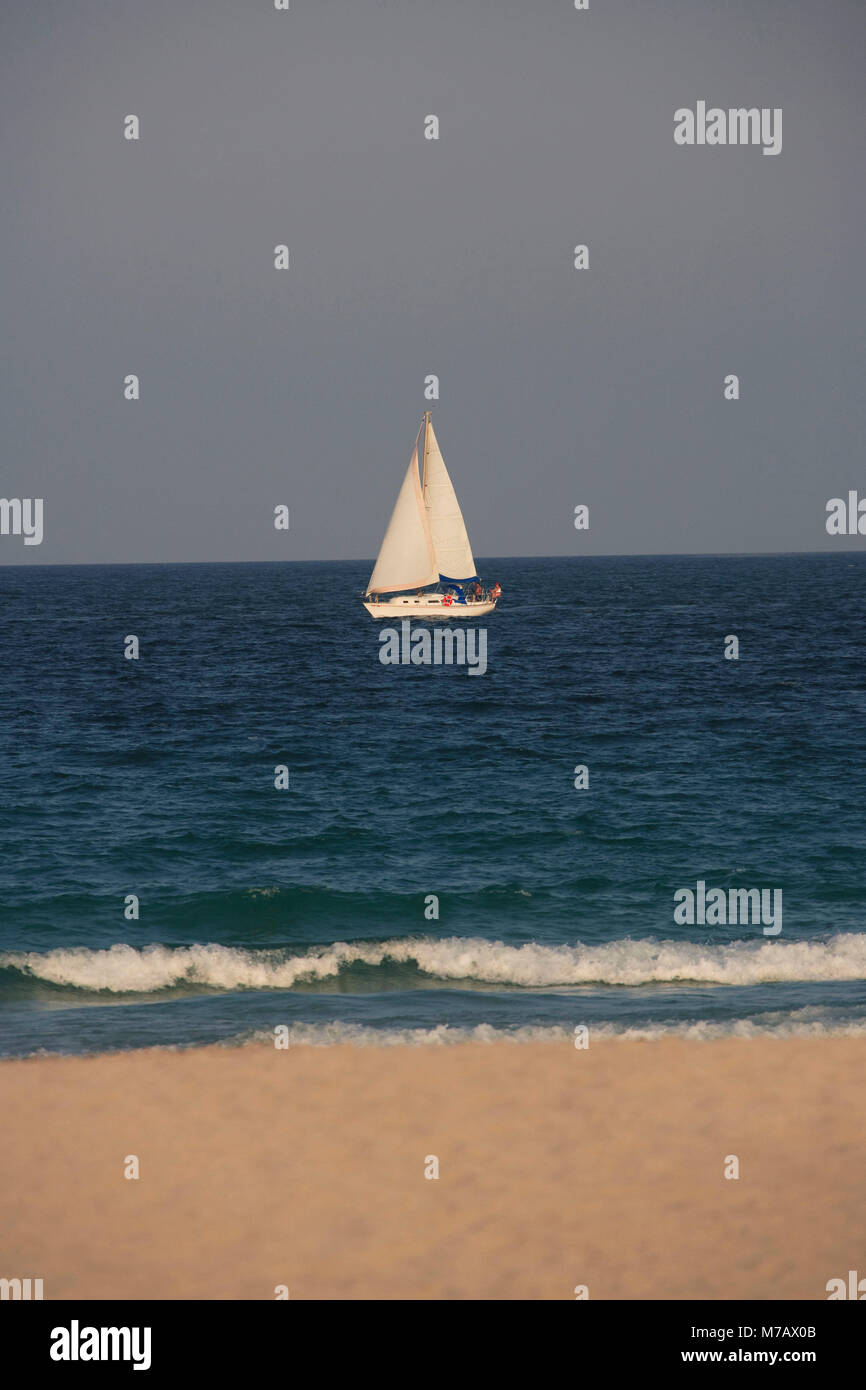 Beach sailboat traveling horizon over hi-res stock photography and ...