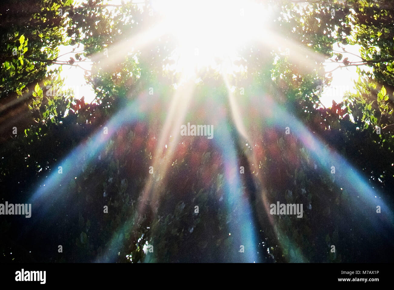 Bright Sunshine Stock Photos & Bright Sunshine Stock Images - Alamy